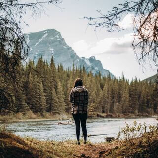 The Stillness Of What You Really Are | Tiger Singleton