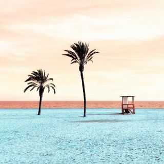 Mindful Study: Serene & Relaxing Background Music | Calming Odyssey