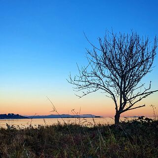 Somatic Meditation For Freeze [Minimal Music] | Mel Cassidy