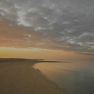 Relaxed Eyes | Susan Van Note