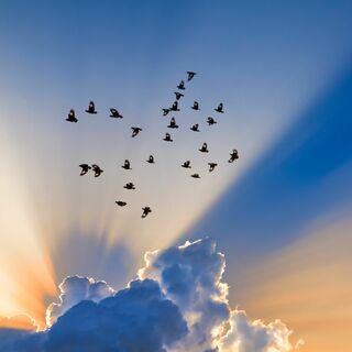 Guided Prayer For Overcoming Worry And Fear | The UnLeashed Woman