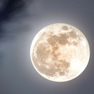 Full Moon Healing & Releasing | Jaclyn Albergoni