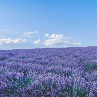 Creating Boundaries | Laura Moser