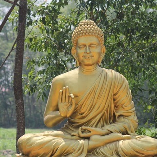 Calm & Present: A Mindfulness Journey For Beginners | Insight Timer