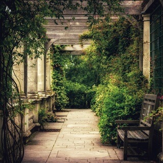 History Of Gardens: A Sleep Journey | Benjamin Boster