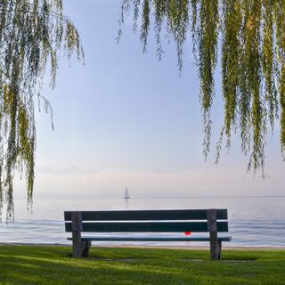 Embrace Your Evolution | Jaclyn Albergoni