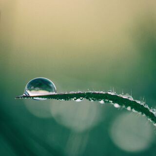 Emotions As Information | Insight Timer