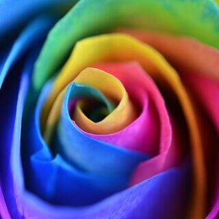 Transmuting Trauma Through Chakra Healing | Insight Timer