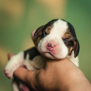 Snuggle Into Stillness: Bedtime Mindful Movement | Julie Lucas