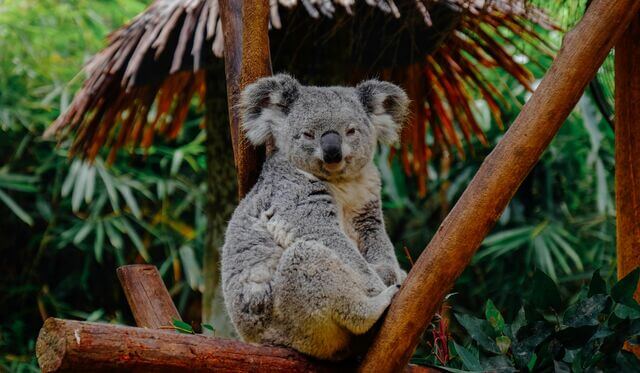 Michelle's Sanctuary