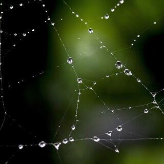 Micro-Movement: Release Head And Neck Tension | Petra@BeingoftheEarth