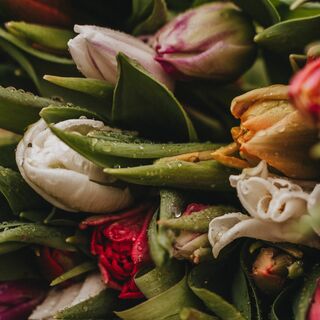 Metta Meditation For Expecting Mamas | Lisa Malinowski Kamran