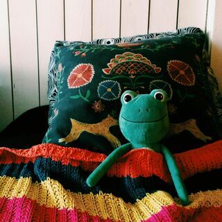 The Princess And The Frog | Mandy Sutter