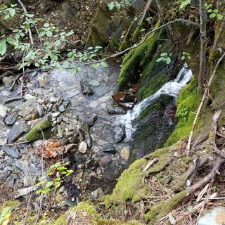 A Practice In The Art Of Restoring Balance | Beth Jaffe