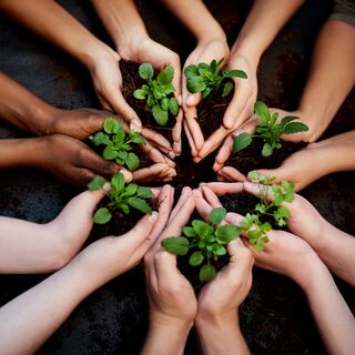 Meditation On The Seven Choices Of Maturity And Character | Leslie DMello