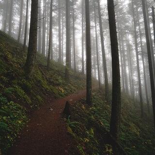 Serene Reverie : Focus Meditation | Chris W