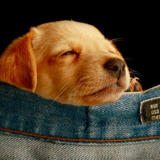 Snuggle Into Stillness : Bedtime Meditation For Kids | Julie Lucas
