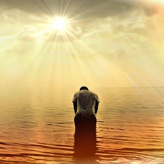 Distant Ocean Voices: Meditate, Restore, Rest | Mare Wildmare