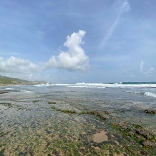 Breathing Meditation For Your Fertility Journey | Nikola Simpson