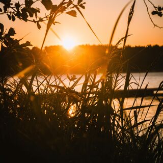 Returning To Source: A Meditation Beyond Fixing | Pat Divilly