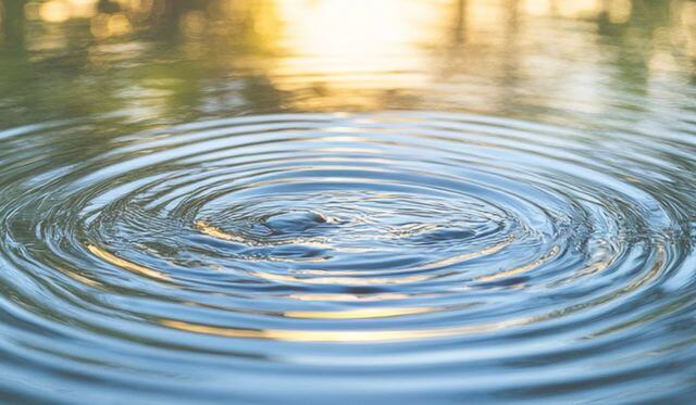 Divine Connection | Stacy Gissal