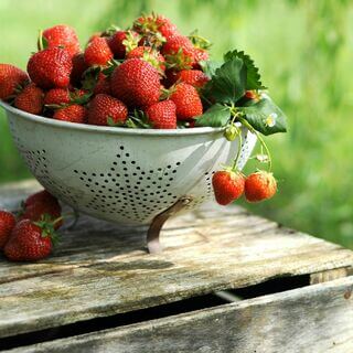 Strawberry Full Moon | Candy Foster