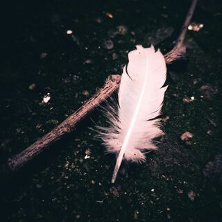 Sensation & Touch Exercise | Erin Musick