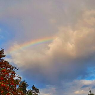 Somatic Meditation For The Flight Response [With Tamboura] | Mel Cassidy
