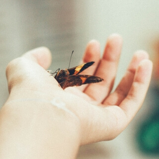 Nurture Restorative Yoga Practice | Lisa Malinowski Kamran