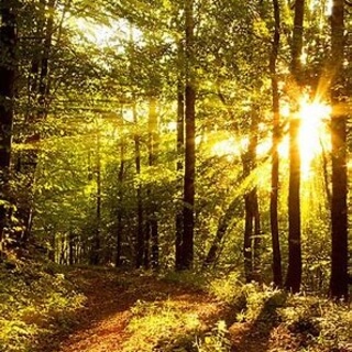 Focusing On Feeling Rest In Our Body Sensation Through This Meditation ...