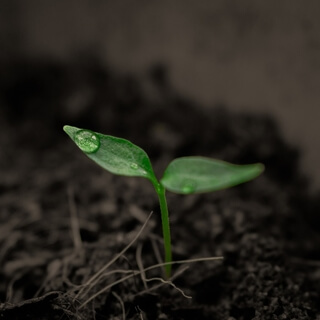 Honoring Kids, The Forgotten Mourners With Gary Shockley | Shelby Forsythia