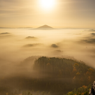 Reflect, Honor, And Release The Past | Elena Lipson