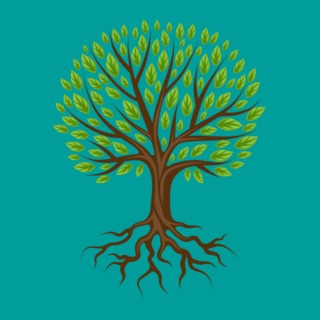 The Grounding Tree- Grounding | Kerrie Parry