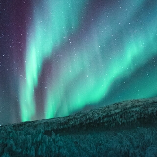 Vagotonía Y Programación Subconsciente De Liberación Emocional ...