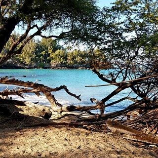 Align With Your Life Purpose Through The Hara Line | Barbara Buck