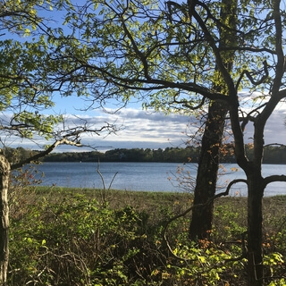 Surrendering To Your Grief | Grace Harman