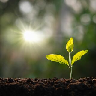 Morning Guidance: Perfect, Simple Movement Out Of Bed | Monica Breen