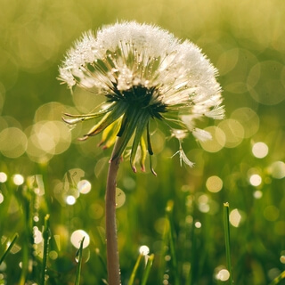 Present Moment Awareness Meditation | Jennifer Vroom