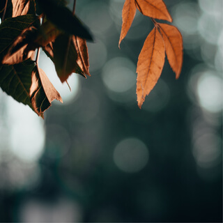 Simple Steps For Managing Anxiety | Insight Timer