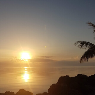 Movimientos Conscientes (Meditación) | Jessica Zayas, Insight Timer