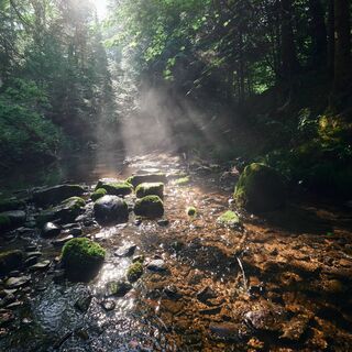 By The Creek | Kadeem Alston-Roman