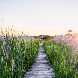 Mindful Body Scan | Stacy DiGregorio