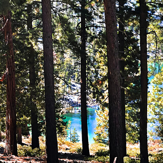 Sitting Meditation Practice | Laura Liss