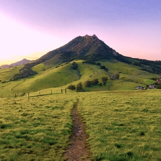 Body Scan For Kind And Compassionate Awareness Of The Body | Laura Liss