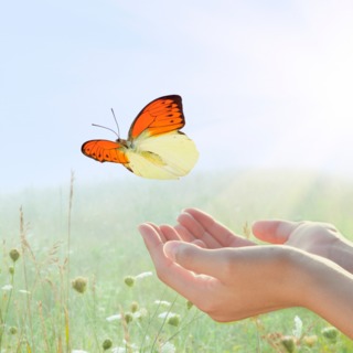 She Let Go Poem By Safire Rose | Angela Rose