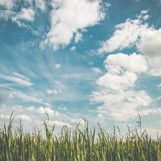 Free To Breathe | Marcus C Dolan