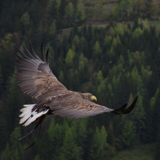 Realise Your Unlimited Potential | Neha Prabhakar
