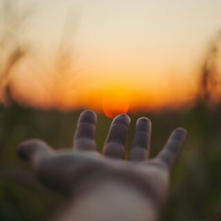 Go Outside And Immerse Yourself In Nature | Julie Aelbrecht