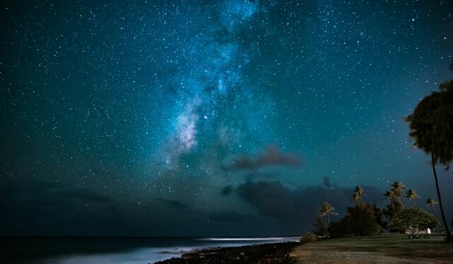 Michelle's Sanctuary