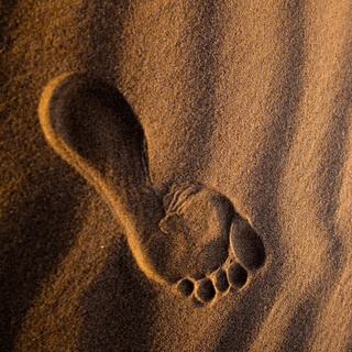 How To Find Your Feet | Vicky Richings